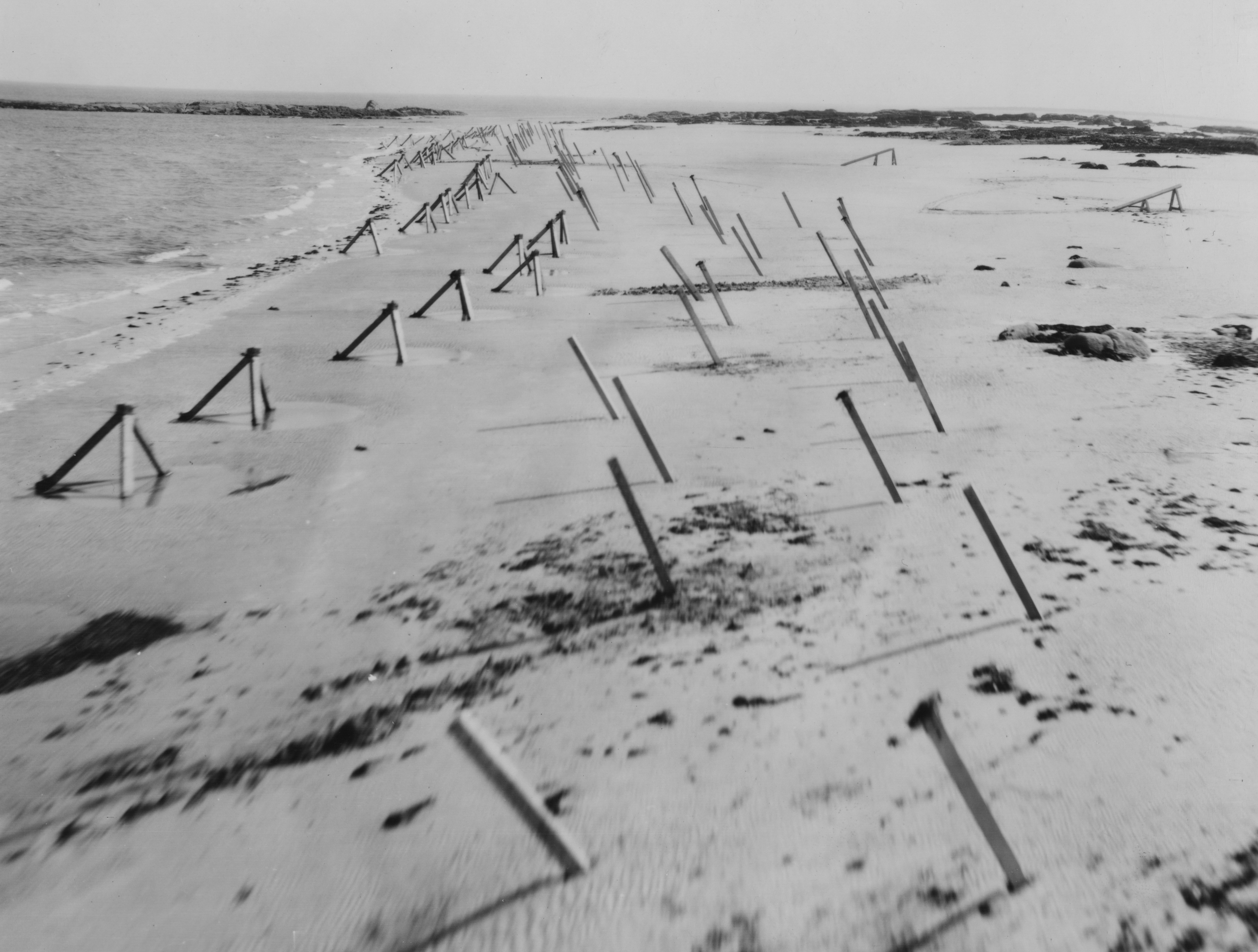 OPERATION OVERLORD: D-Day > National Museum of the United States Air ...